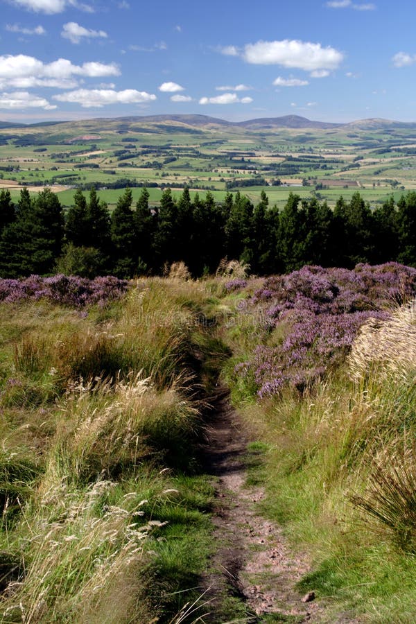 Views of Simonside stock image. Image of view, simonside - 3034269
