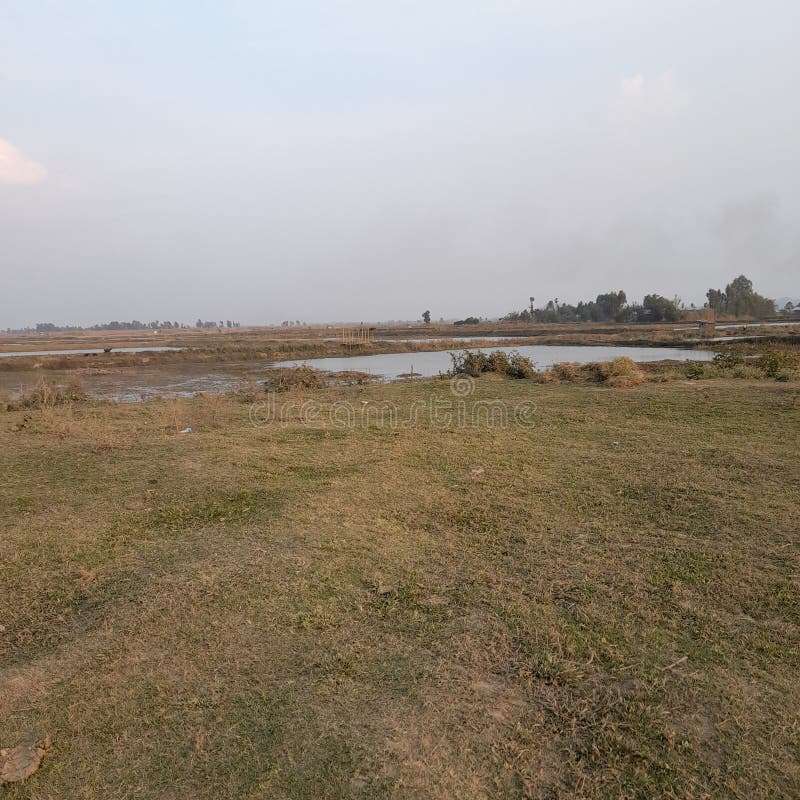 Views of Small Fish Farm of Manipur Northeast India Stock Image - Image ...