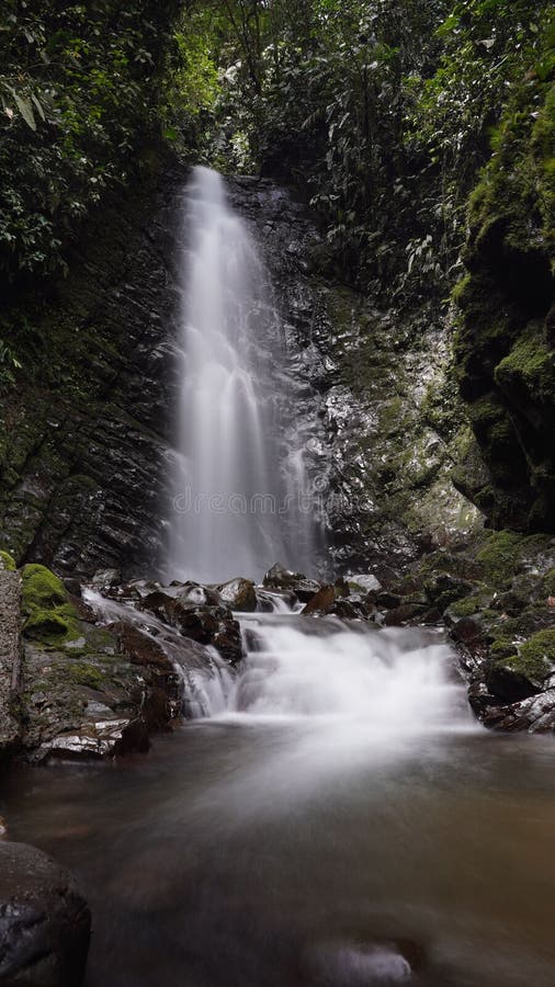 Waterfall of Cloud Forest Mindo Stock Photo - Image of majestic ...