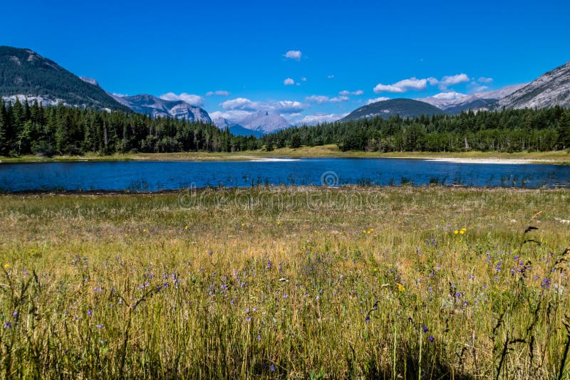 Views from the Valley. Bow Valley Provincial Park. Alberta, Canada ...