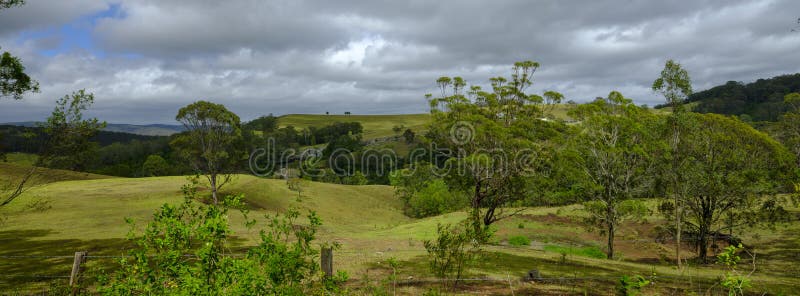 Views of Vineyards in the Mount View Area of the Hunter Valley, NSW ...