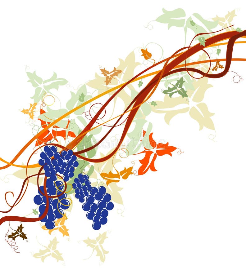 Vigna Illustrazioni, Vettoriali E Clipart Stock – (25,099 Illustrazioni ...