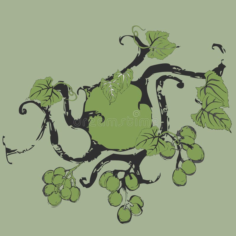 Vigna illustrazione vettoriale. Illustrazione di disegno - 6582515