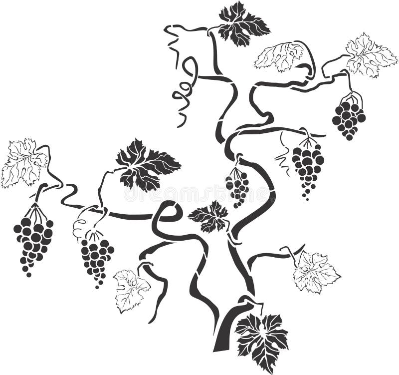 Vigna 3 illustrazione di stock. Illustrazione di facilmente - 64044850