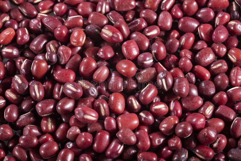 Vigna Angularis - Adzuki Organic Bean Stock Image - Image of space ...