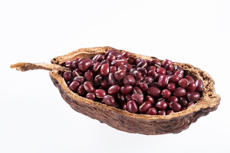 Vigna Angularis - Adzuki Organic Bean Stock Image - Image of angularis ...