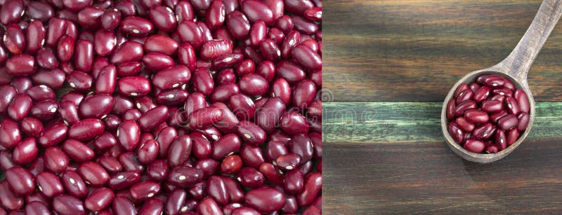 Vigna Angularis - Red Adzuki Bean in Wooden Spoon Stock Image - Image ...