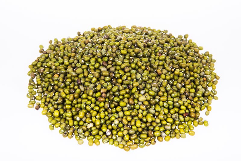 Vigna radiata stock photo. Image of fiber, cereal, crop - 10430680