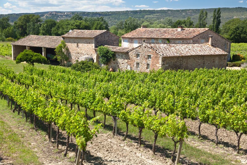 Vignoble de la Provence image stock. Image du viticulture - 43150191
