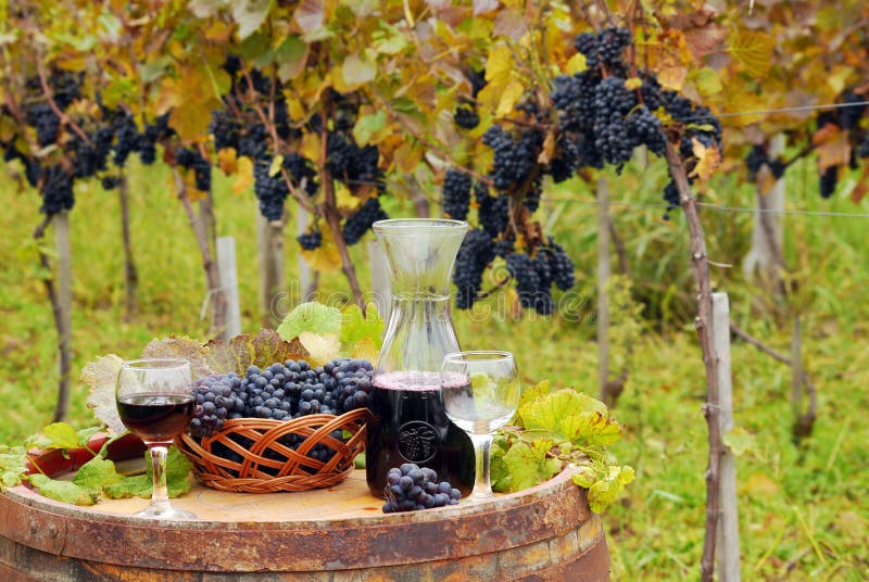 Vigne et vin rouge image stock. Image du vert, jaune - 16286473