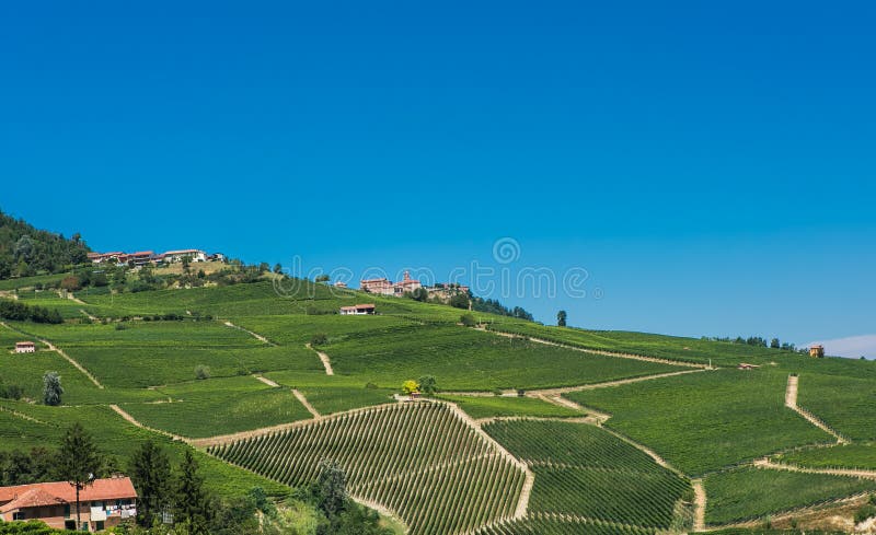 Vigne italiane fotografia stock. Immagine di podere, tetto - 37785194