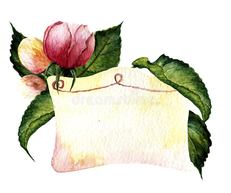 Vignette D'aquarelle Avec La Rose Et Les Feuilles Illustration Stock ...