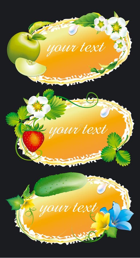 Vignette_fruit_berry_vegetable Stock Vector - Illustration of recipe ...