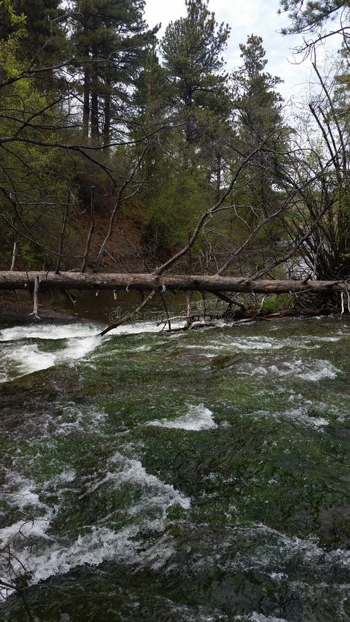 Vigorously moving river stock photo. Image of autumn - 190445312