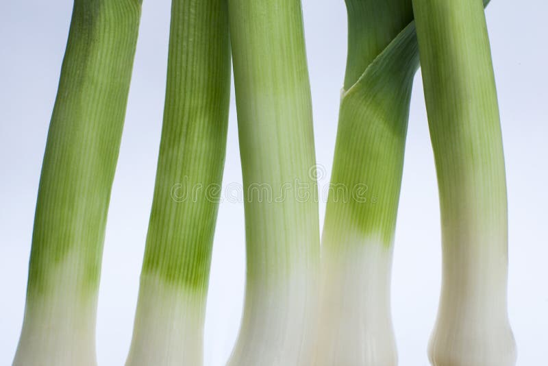 Vijf groene uien stock foto. Image of uien, salade, smaak - 69139520