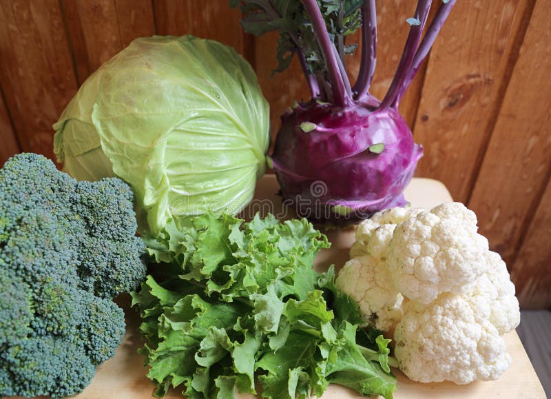 Vijf soorten kool stock afbeelding. Image of installatie - 236574693