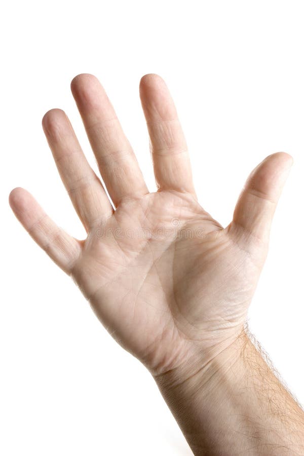 De Hand Die Van De Zakenman `s Een Leeg Teken Houdt Stock Foto - Image ...