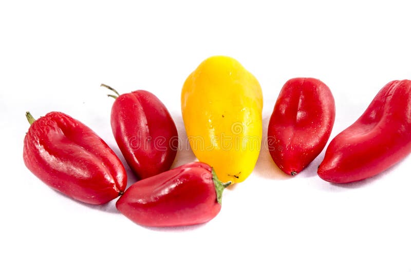 14 rode zoete kleine peper stock foto. Image of donker - 113953536