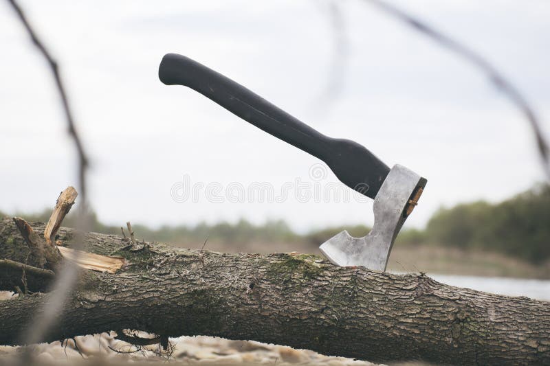Viking Ax. an Ax Driven into a Piece of Wood. Ax in the Water Stock ...