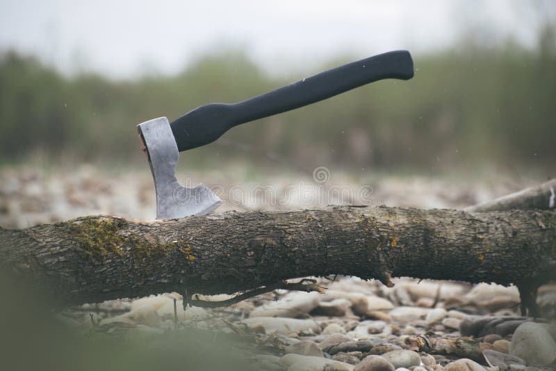 Viking Ax. an Ax Driven into a Piece of Wood. Ax in the Water Stock ...