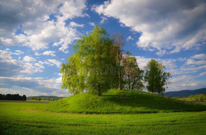 Viking s grave stock photo. Image of armour, fighter - 10257286