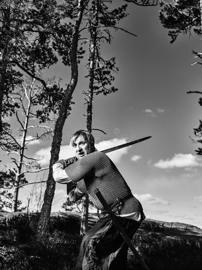 Knight Wearing Chain Mail Stock Photos - Download 73 Royalty Free Photos