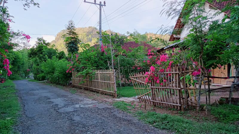 Vilage view stock photo. Image of view, tree, natural - 306736172