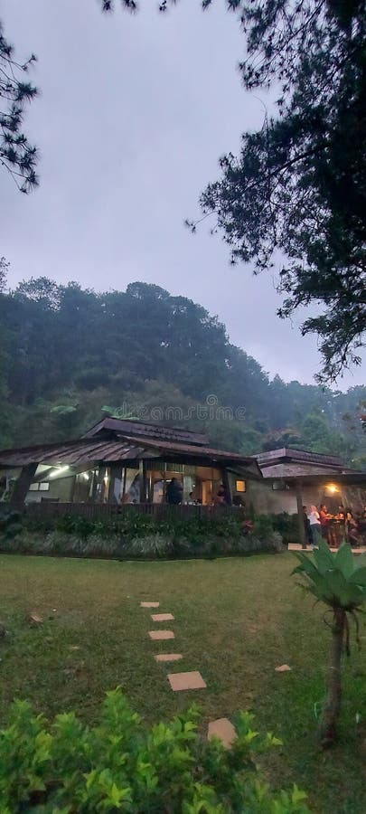 Villa Home with Beautiful View Back Junggle Forres Tree Stock Photo ...