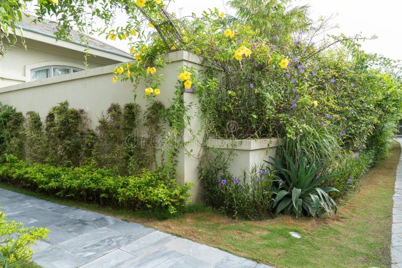 Villa Path Way at the Tropical Resort Stock Image - Image of holiday ...