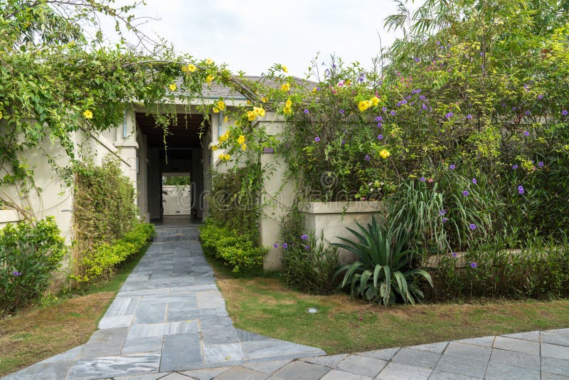 Villa Path Way at the Tropical Resort Stock Photo - Image of plant ...