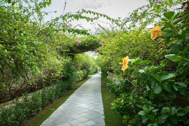 Villa Path Way at the Tropical Resort Stock Photo - Image of relax ...