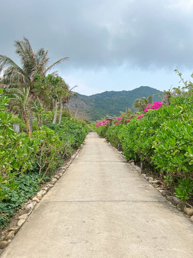 Villa Path Way at the Tropical Resort Stock Photo - Image of trip ...