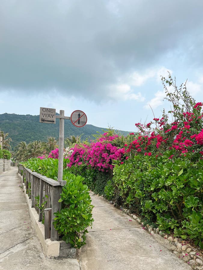 Villa Path Way at the Tropical Resort Stock Image - Image of green ...