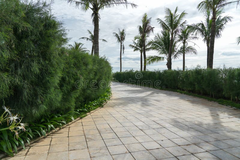 Villa Path Way at the Tropical Resort Stock Photo - Image of coconut ...