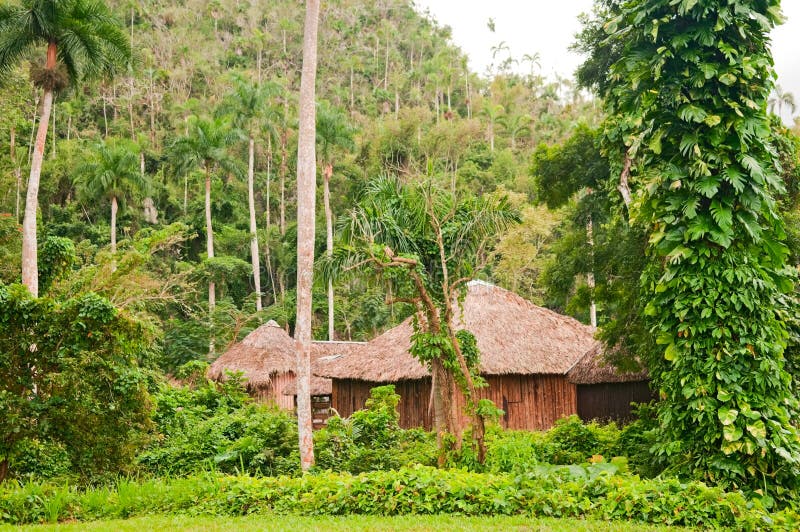 Village stock photo. Image of house, park, trees, village - 23406752