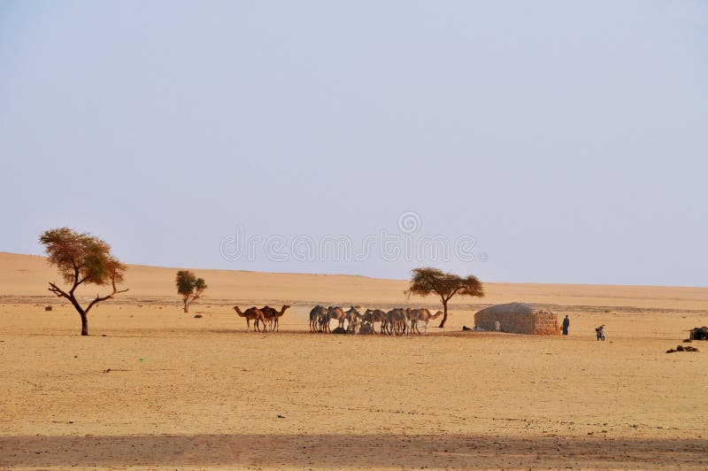 Village on the Area of the Sahara Desert in Chad Stock Photo - Image of ...