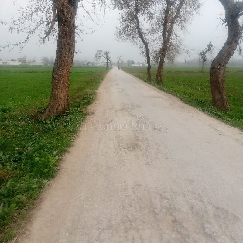 Village, Beautiful View, Good Evening, Stock Photo - Image of view ...