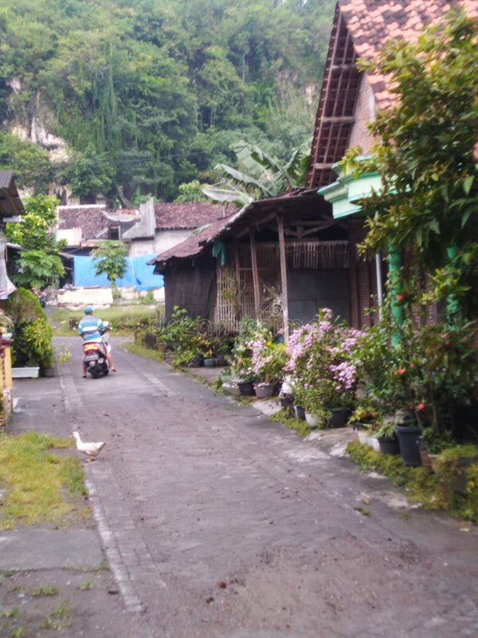 Village in the Blitar city editorial stock photo. Image of house ...