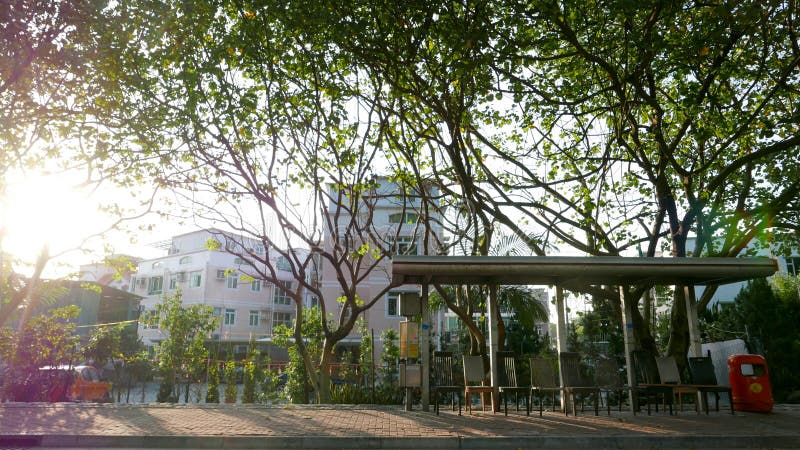 Village Bus Stop Station Trees Plants Stock Photos - Free & Royalty ...