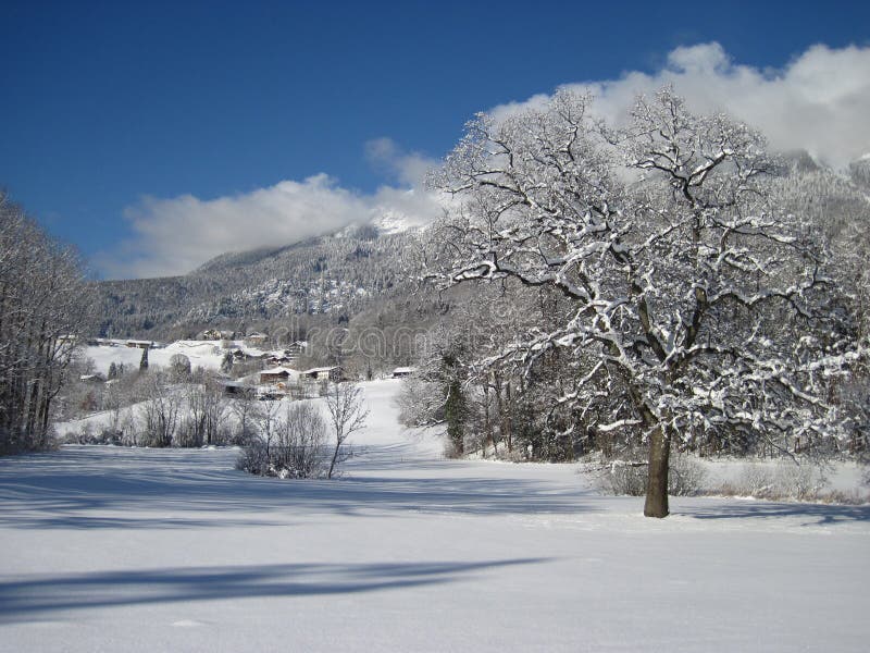 Village Covered by Snow. Piding Germany Stock Image - Image of bushes ...