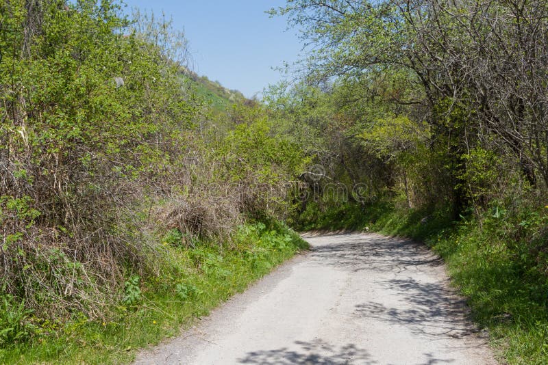 Village dirt road stock image. Image of masuria, scene - 147738183