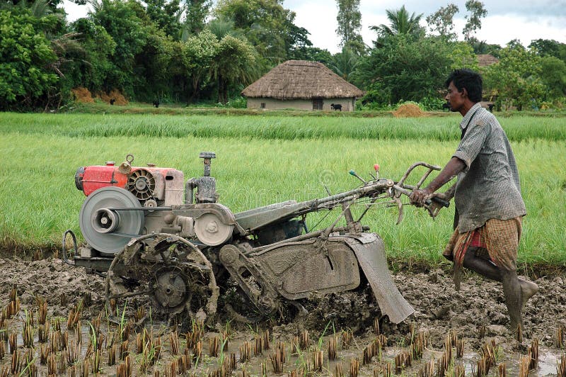 Village farmer editorial photography. Image of sundarban - 13807737