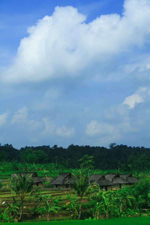 The Village in the FIeld stock image. Image of tree - 224480961