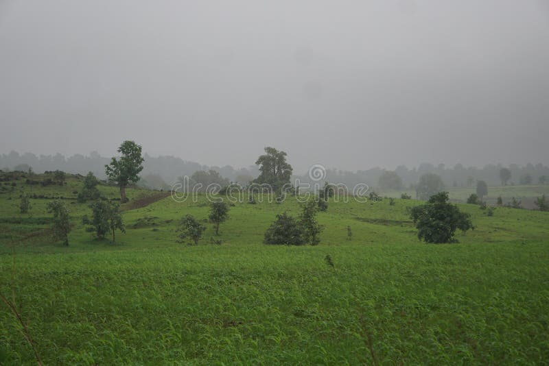 Village Fields in Rain Forest Surrounded by Grass in Maharashtra India ...