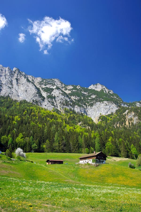 Village in the Germany Alps Stock Image - Image of bavaria, forest ...