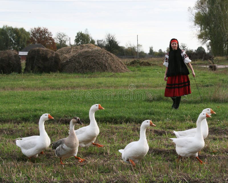 Village Girl Keeping a Goose Stock Image - Image of food, rural: 8128835
