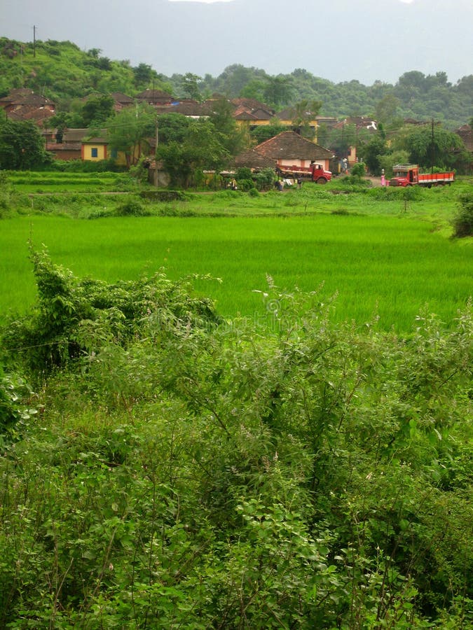 Village in Green Countryside Stock Photo - Image of countryside ...
