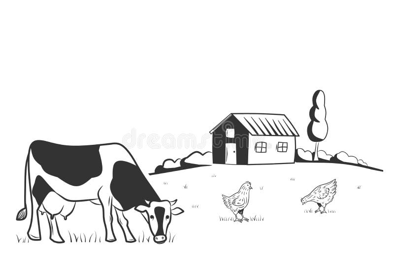 Village House with Chickens and Cow Hand Drawing Stock Vector ...