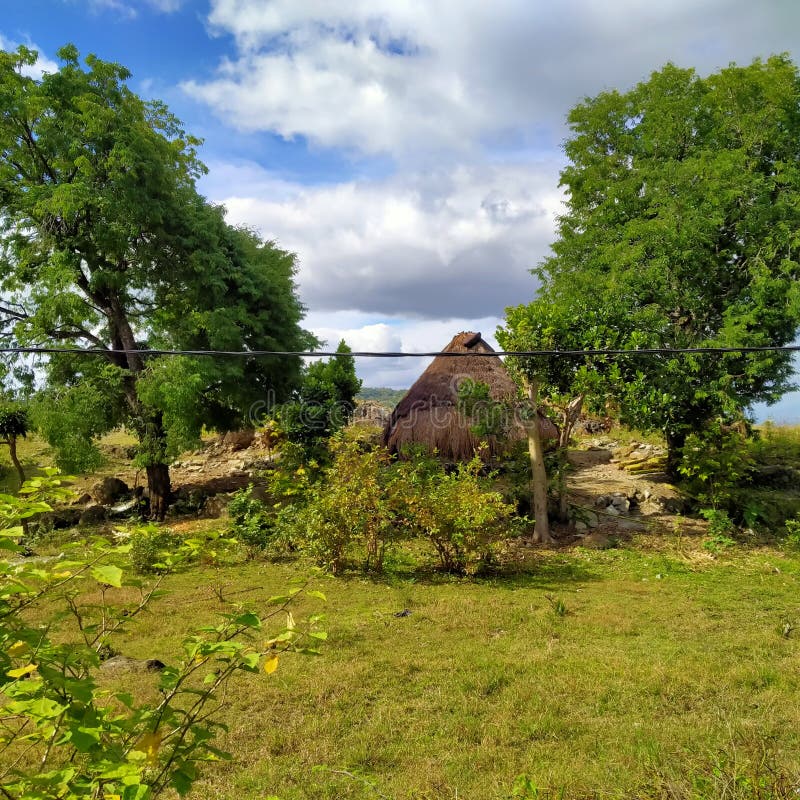 Village House between Two Tree Stock Photo - Image of home, tree: 223229216