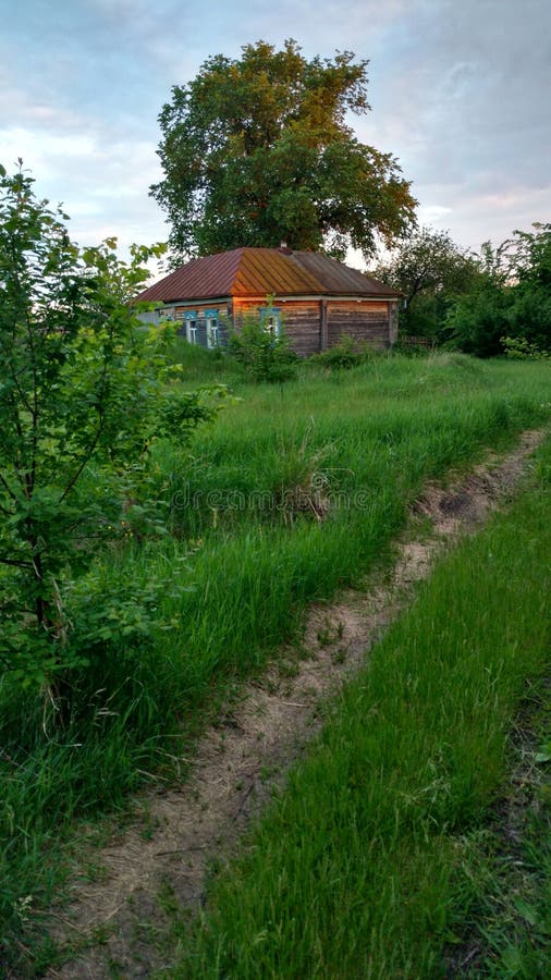 Village. stock image. Image of green, trees, wifh, flowers - 94981543